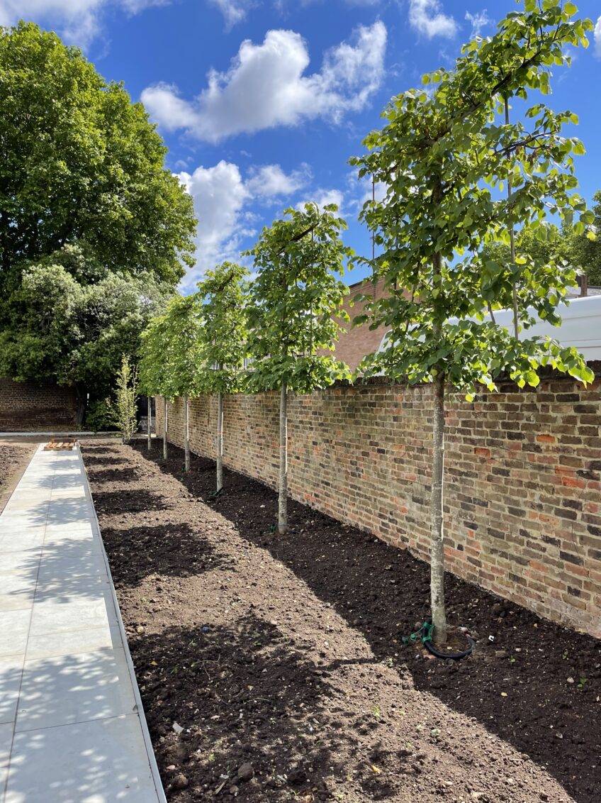 Boston Manor Park | MacConvilles